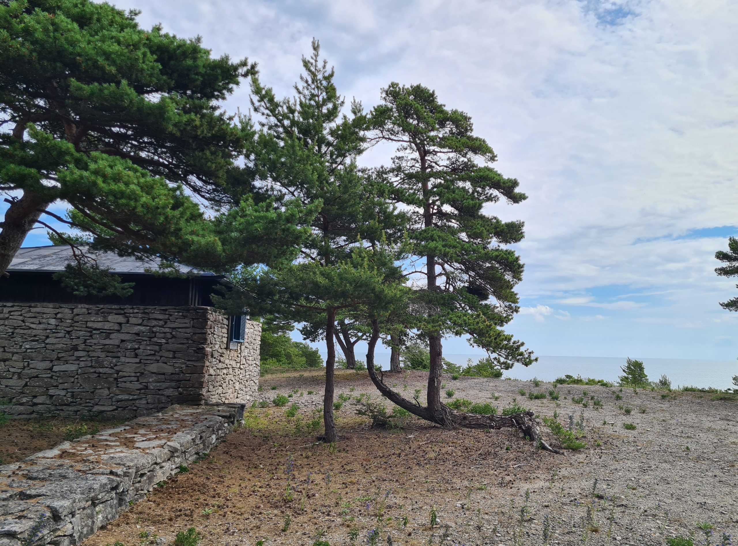 Tre skådespelare får residens på Bergmangårdarna - Konstnärsnämnden